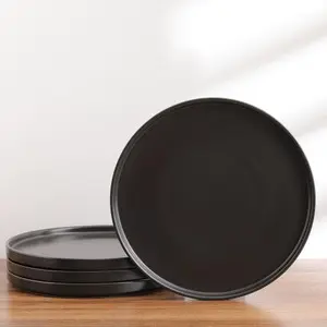STONE + LAIN Celina Stoneware 4-piece Dinner Plate Set