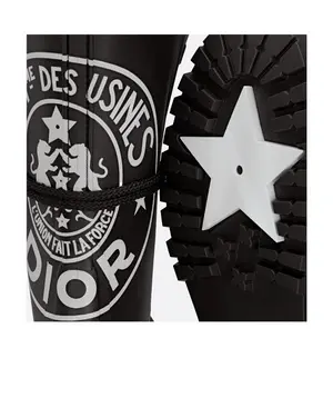 Dior Camp Ankle Boots