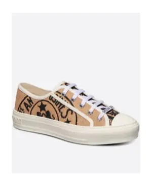 Dior Walk 'n' Lace-up Casual Sneakers