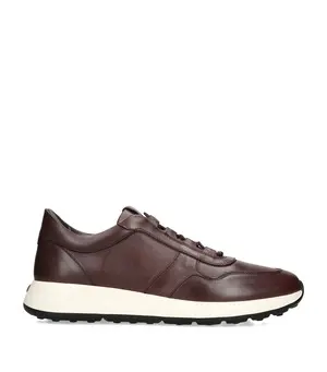 TOD'S Leather Allacciato Sneakers - Brown