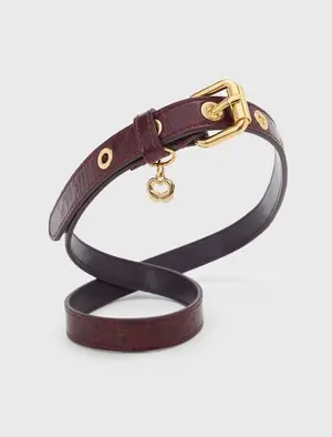 Maje Slim Leather Belt With Eyelets