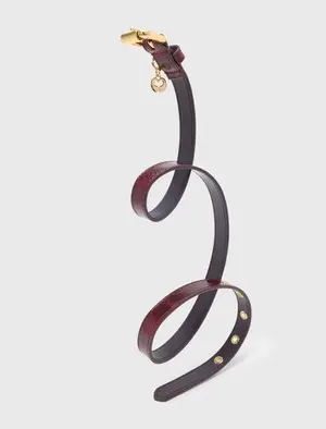 Maje Slim Leather Belt With Eyelets
