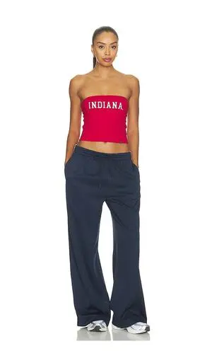 HYPE AND VICE Indiana University Tube Top