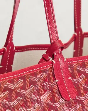 FWRD RENEW Goyard 包袋 - Red