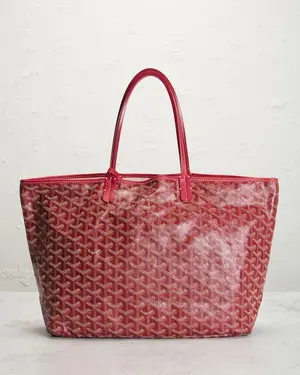 FWRD RENEW Goyard 包袋