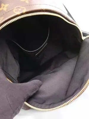 LOUIS VUITTON Monogram Palm Springs Backpack - Brown