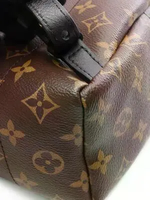 LOUIS VUITTON Monogram Palm Springs Backpack - Brown