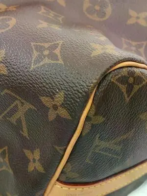 LOUIS VUITTON Speedy Bandoulière Monogram Luggage - Brown