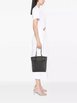 Dior Trotter Canvas Tote Bag