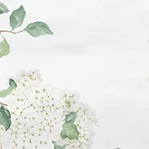 SCHLOSSBERG Hortensia King Duvet Cover