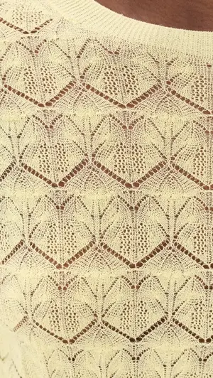 Vince Fine Lace Crew Neck Sweater
