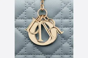 Dior Lady Voyageur Wallet