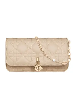 Dior Phone Pouch
