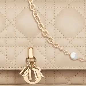 Dior Phone Pouch