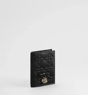 Dior Lady Passport Cover