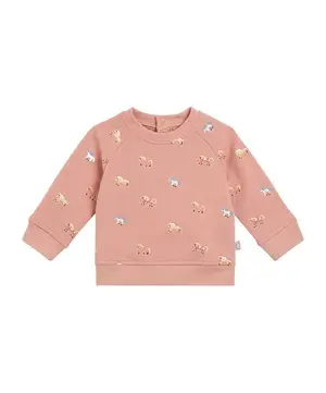 Stella McCartney Printed Sweatshirt - Pink