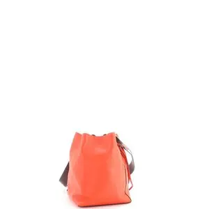 Hermès Licol Bag Evercolor 17