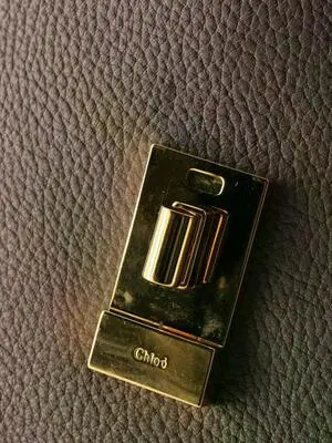 Chloé Drew Leather Mini Crossbody Bag
