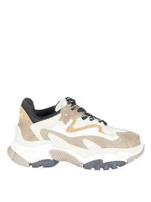 Ash Fion Sneaker