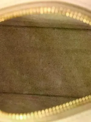 Celine Triomphe Oval Leather Crossbody Bag - Neutrals