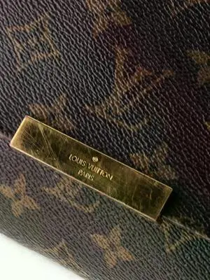 LOUIS VUITTON Favorite Handbag Monogram Canvas Pm Clutch Bag