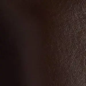 Ralph Lauren Leather Thurlow Top