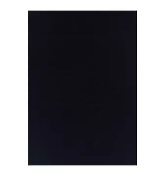 VIVIENNE WESTWOOD Embroidered Logo Scarf