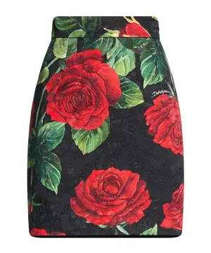 Dolce & Gabbana Mini Skirts - Black