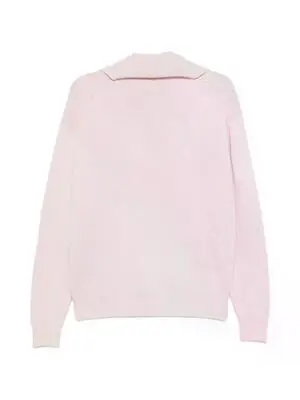 Plan C V Neck Sweaters For Women