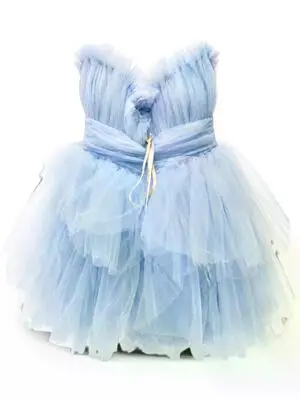BRONX AND BRONCO Ruffled Tulle Mini Dress