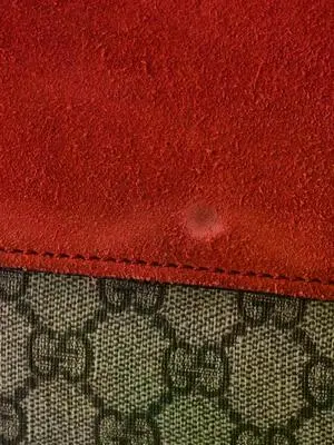 Gucci Dionysus Bag Gg Coated Canvas Small Shoulder Bag