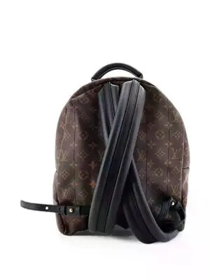 LOUIS VUITTON Monogram Canvas Palm Springs Mm Backpack - Brown
