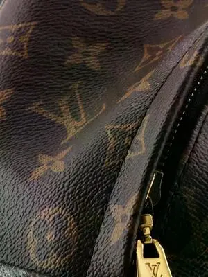 LOUIS VUITTON Monogram Canvas Palm Springs Mm Backpack - Brown