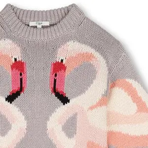 Chloé Flamingo Intarsia Knitted Sweater Dress