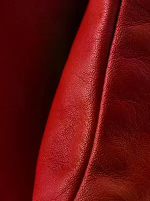 Celine Trio Leather Large Crossbody Bag