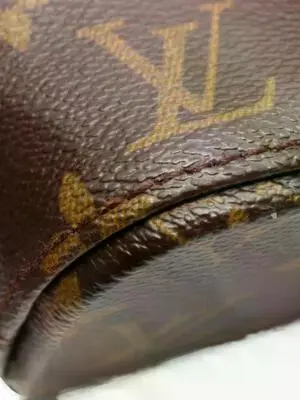 LOUIS VUITTON Monogram Vavin Pm Tote Bag