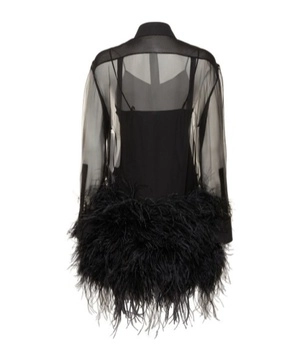 Valentino Garavani Feather-trimmed Dress