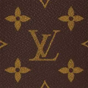 LOUIS VUITTON Christopher Mm Monogram Macassar Canvas