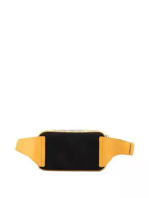 Gucci 2000-2015 Small Gg Supreme Flora Web Ophidia Belt Bag