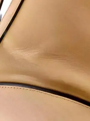 Celine Maillon Triomphe Leather Medium Bucket Bag - Neutrals