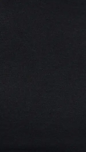 JAMES PERSE Melange Jersey Turtleneck