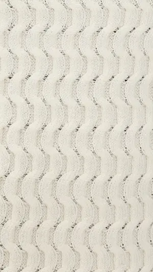 Proenza Schouler White Label Juniper Sweater