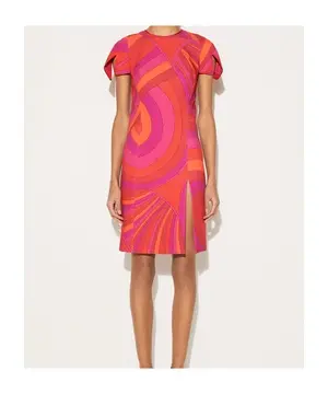 Emilio Pucci Printed Round-collar Short-sleeve Dress