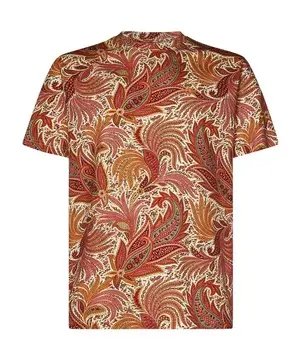 Etro Paisley-print T-shirt - Brown