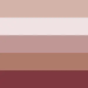 Dior Show 5 Couleurs Eyeshadow Palette