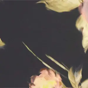 Harrods Silk Midnight Rose Scarf