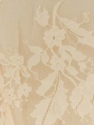 Zimmermann Valiant Lace Caped Maxi Dress
