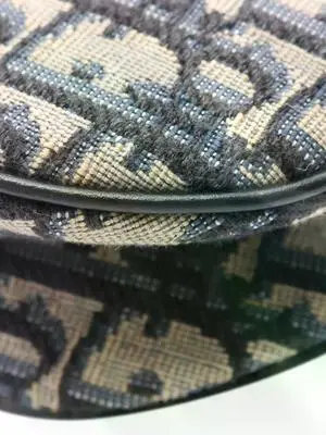 Dior 2010-2026 Mini Oblique Canvas Saddle Bag Satchel