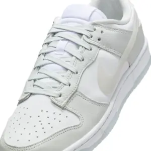 Nike Dunk Low Shoes