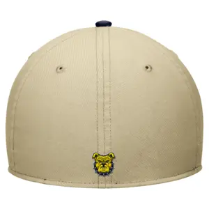 Nike North Carolina A&t University Swooshflex Dri-fit College Cap - Brown